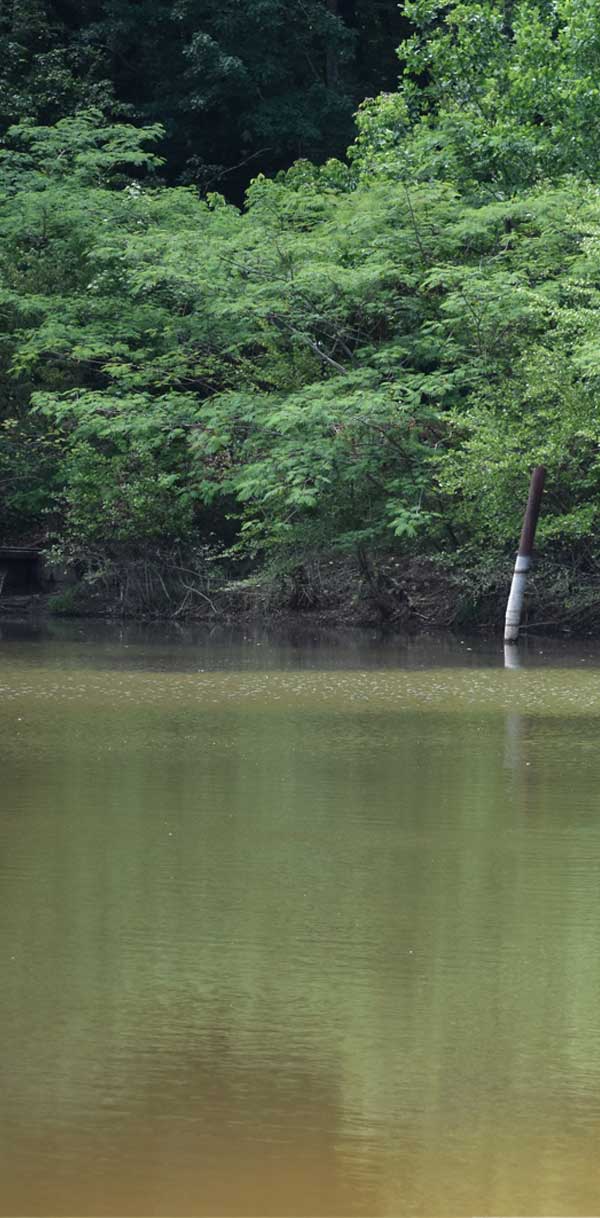 Tucker's Lakes Held in Check By Dams - Tucker, GA, Official City Website